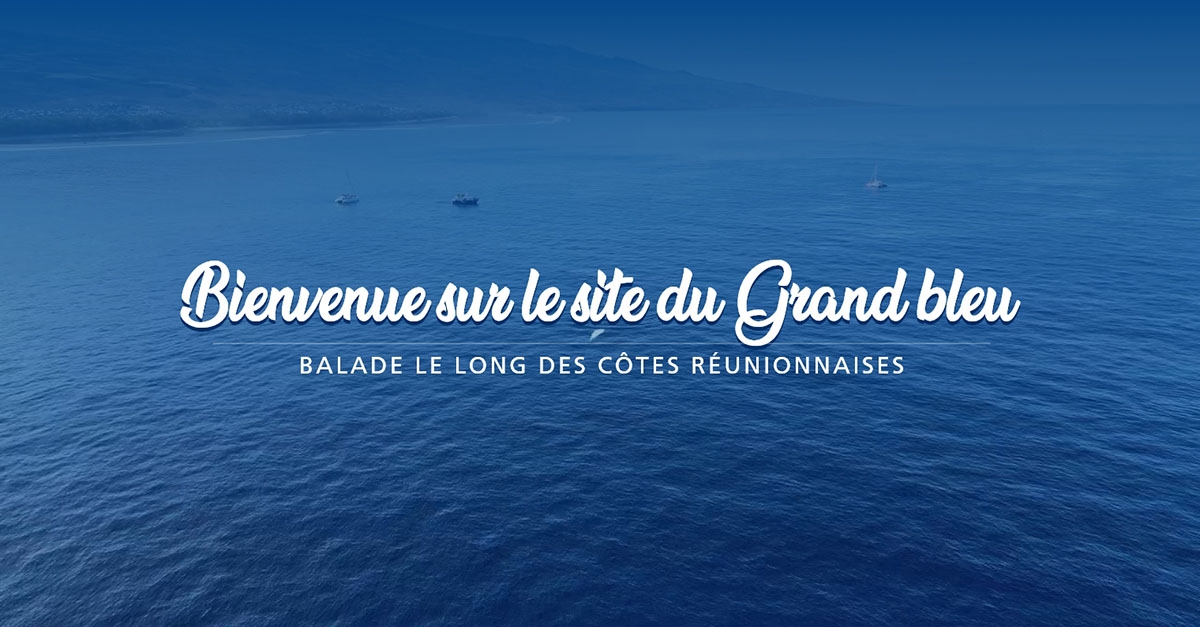 Découvrez le Grand Bleu : Sorties en mer à La Réunion - Grand Bleu